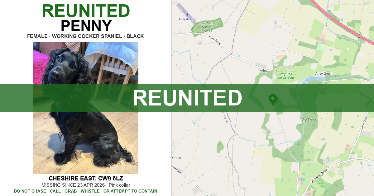 Reunited: Penny — Working cocker spaniel | Drone SAR for Lost Dogs UK