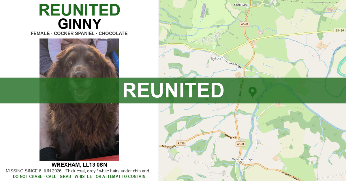 Lost: Ginny — Cocker Spaniel | Drone SAR for Lost Dogs UK
