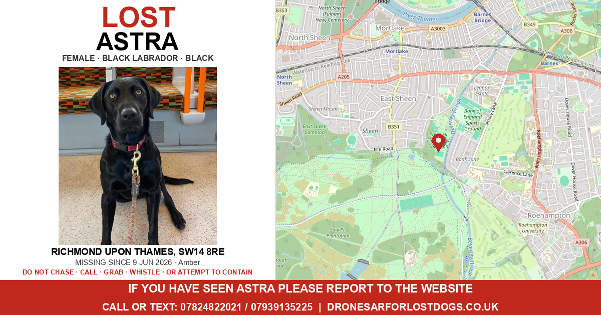 Lost: Astra — Black labrador | Drone SAR for Lost Dogs UK