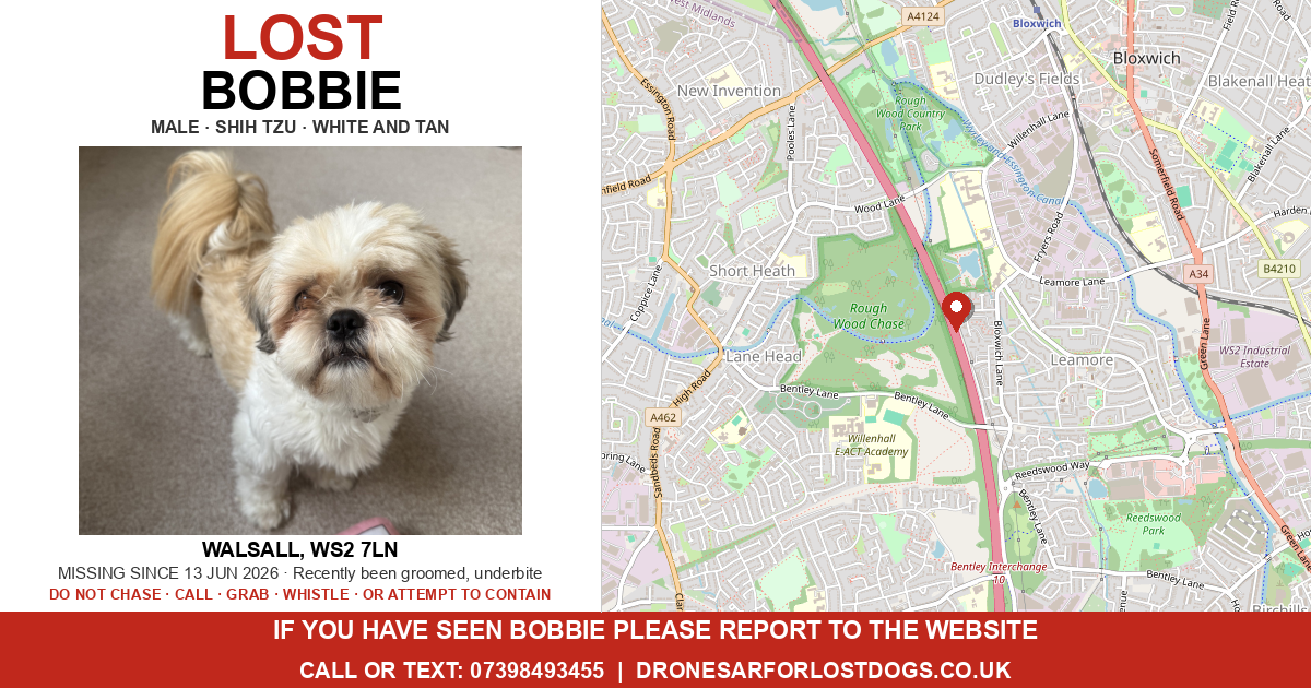 Lost: Bobbie — Shih Tzu | Drone SAR for Lost Dogs UK