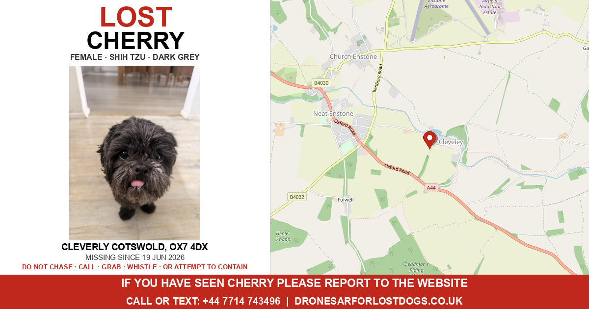 Lost: Cherry — Shih Tzu | Drone SAR for Lost Dogs UK