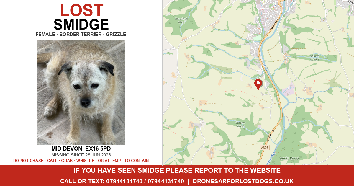 Lost Smidge Border Terrier Drone SAR For Lost Dogs UK lost-smidge-border-terrier-drone-sar-for-lost-dogs-uk